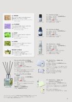 LEXUS COLLECTION 2024 SPRING／SUMMER